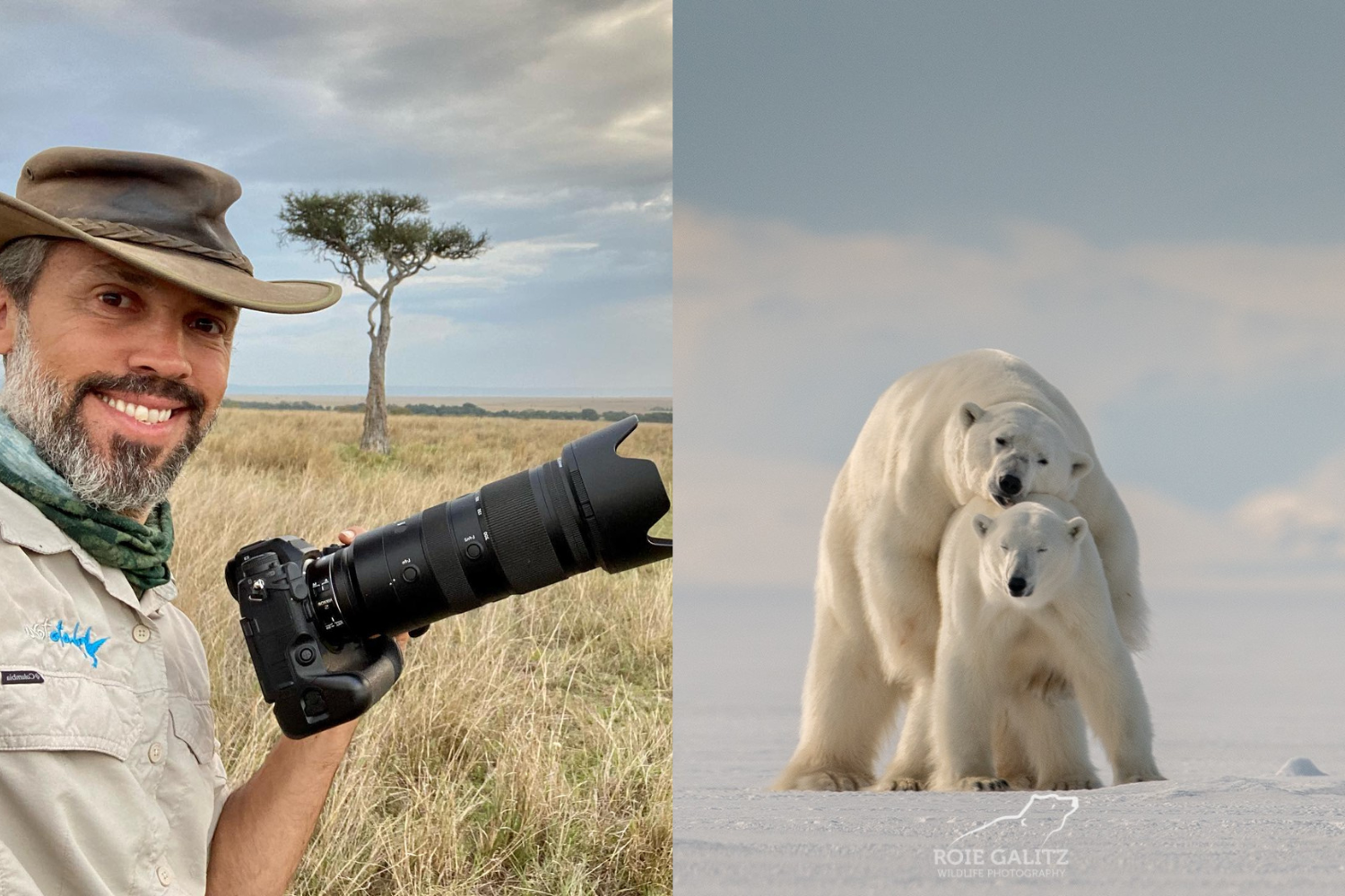 wildlife photographs taken at the perfect time
