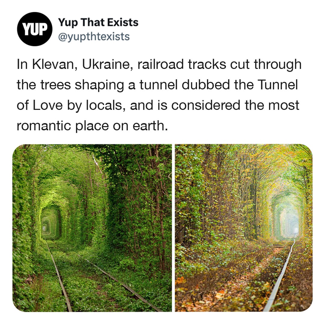 30 Things You Never Knew Existed