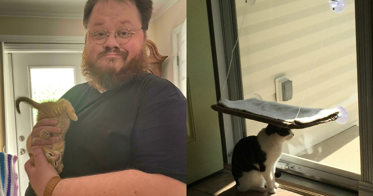 30 Cat behaviors captured in different situation