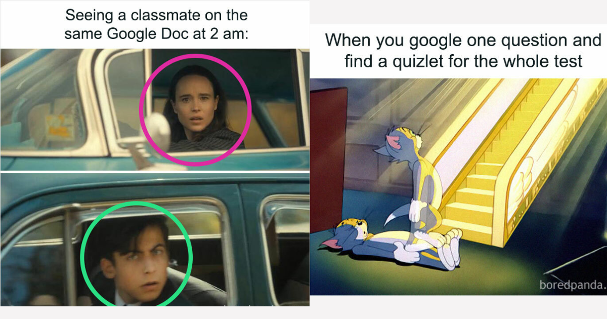 20 Funny Memes About Life As A Student