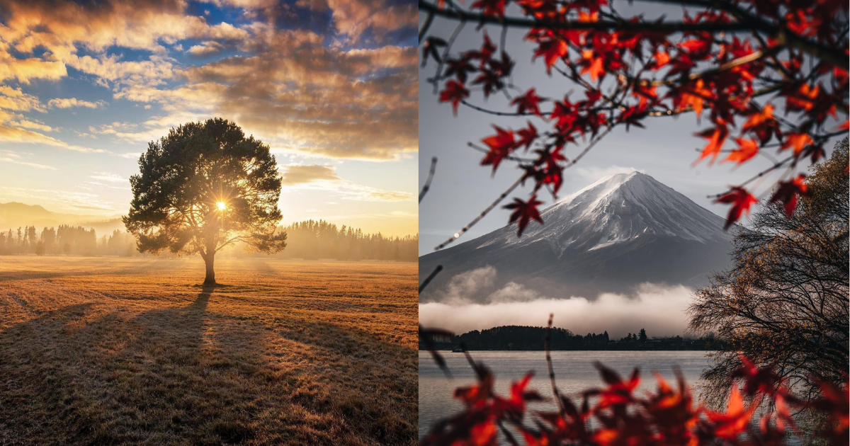 50 photos show that nature is more beautiful than we think