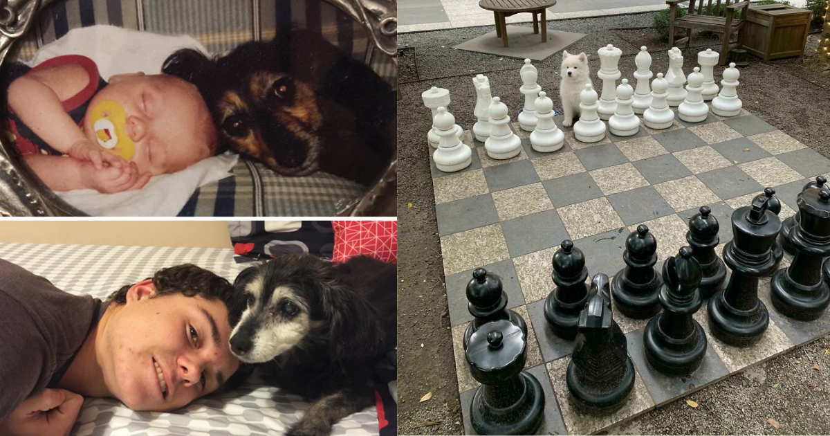 30 Eye-Opening Comparison Photos that Help You See Things Differently