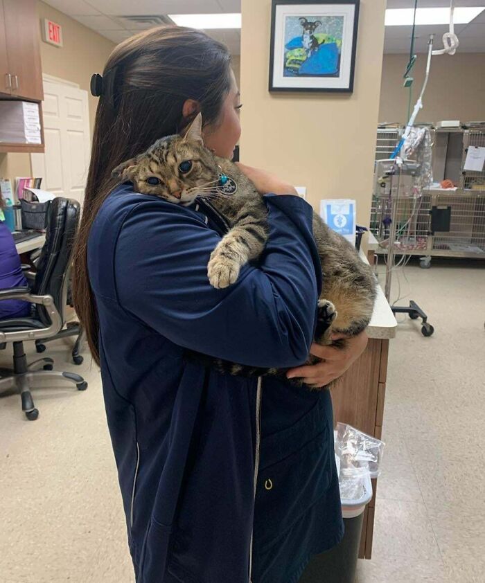30 Hilarious And Wholesome Moments That Vets Have Experienced At Work