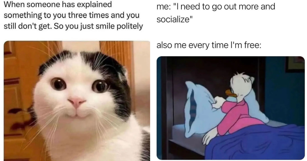 36 Memes That Will End Your Weekend Stress