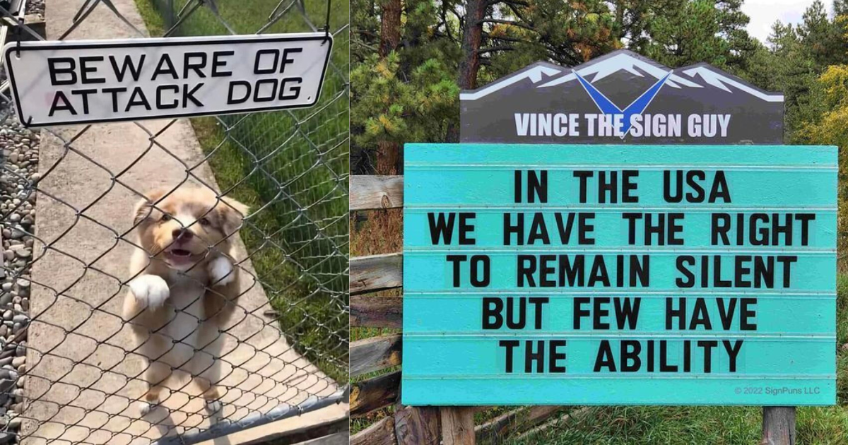 30 Strange Signs To Lead You Down A Path Of Silly Laughs