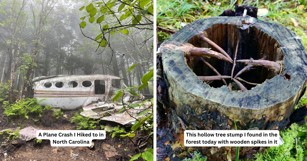30 Strange and Unexpected Discoveries Found in the Forest